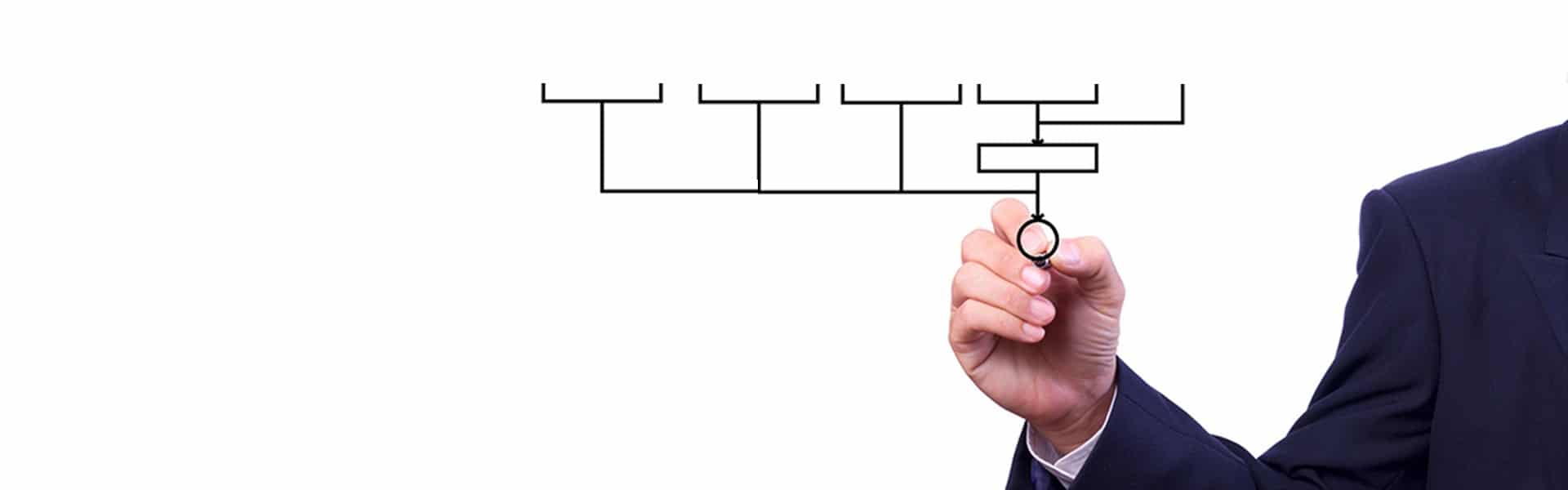 organisational-chart-banner - Steen Group